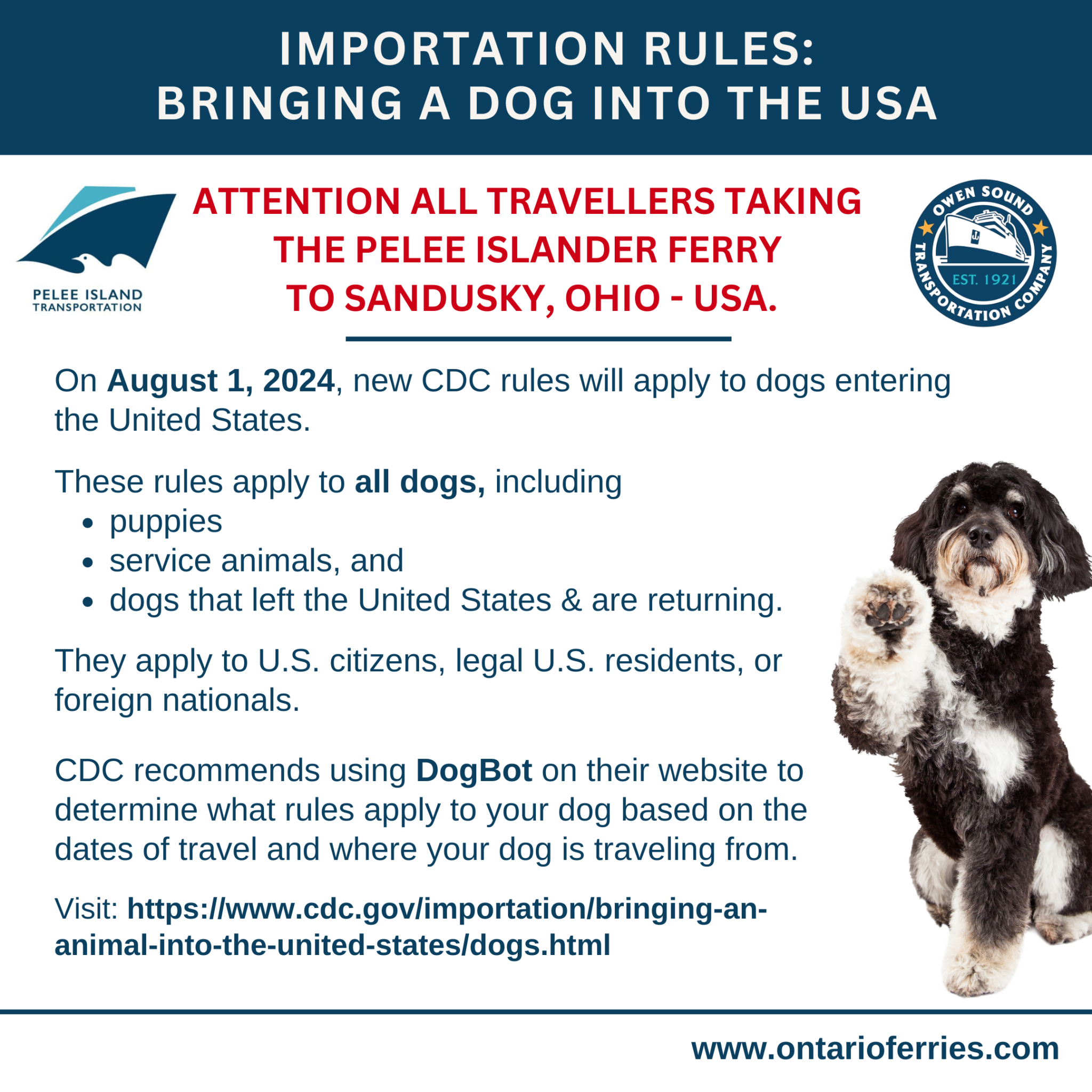 UPDATE: CDC Revised Rules That Apply to Dogs Entering the United States ...